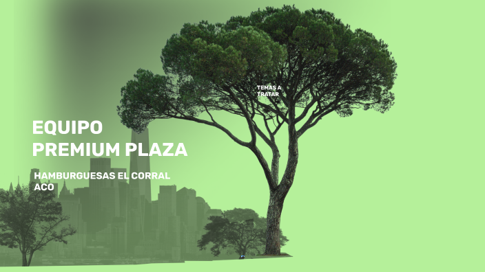 Presentación del Corral Premium Plaza 2024 by DUVAN RICARDO FORERO ...