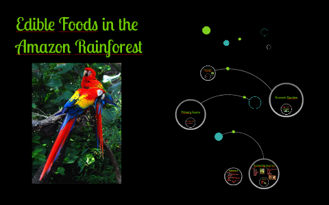 Edible Foods in the Amazon Rainforest by Anasaria Cabato on Prezi
