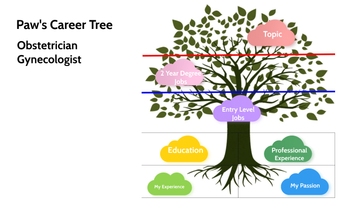 Paw's Career Tree by Paw Soe on Prezi