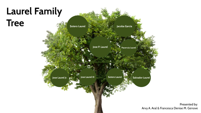 laurel family tree by cesca denise genove on Prezi