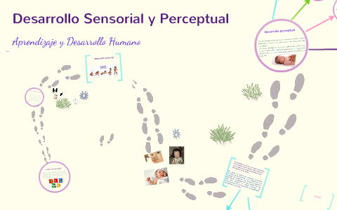 Desarrollo Sensorial y Perceptual by Iris Rivas on Prezi