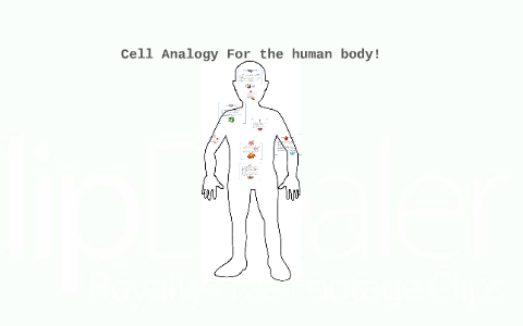 Cell Analogy For the human body! by carson schuster on Prezi