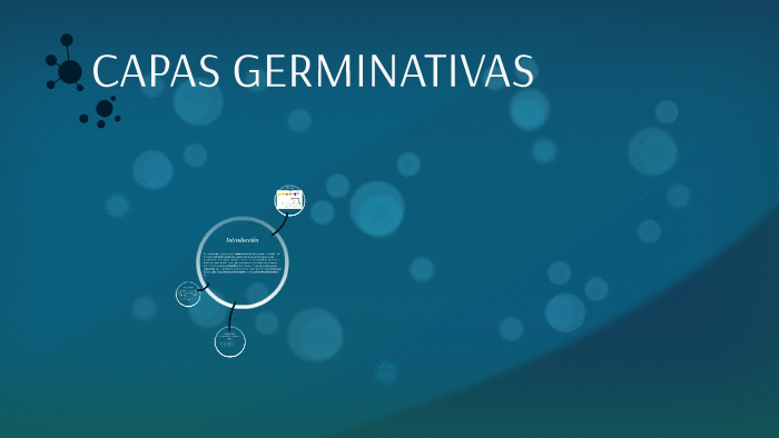 CAPAS GERMINATIVAS by Javi González on Prezi