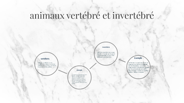 animaux vertébré et invertébré by elizabeth murphy on Prezi