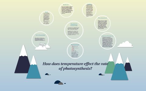 How does temperature effect the rate of photosynthesis? by Joe Perone ...