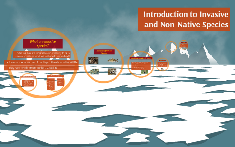 Introduction to Invasive and Non-Native Species by Hope Liechty on Prezi