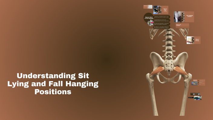 Understanding Sit Lying and Fall Hanging Positions by Fariaah - on Prezi