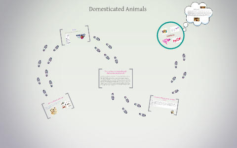 Domesticated Animals by birva. patel