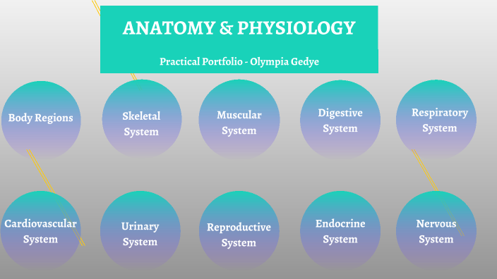 Anatomy & Physiology Practical Portfolio by Olympia Gedye on Prezi