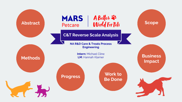 Reverse Scale Analysis by Michael Cline on Prezi