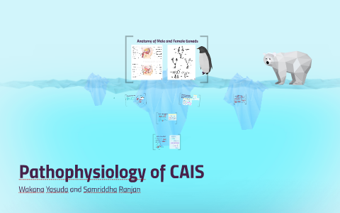 Pathophysiology of CAIS by Wakana Yasuda on Prezi