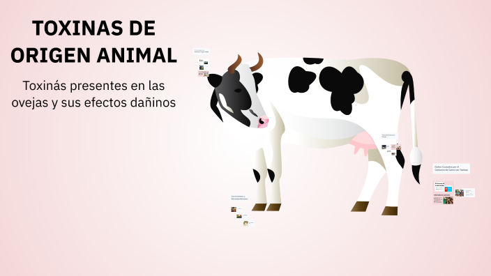 TOXINAS DE ORIGEN ANIMAL by JOHANNA MAITE MONTATIXE CAIZALUISA on Prezi