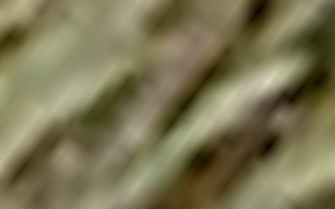 Curriculum Philosophy by Justin Derks on Prezi