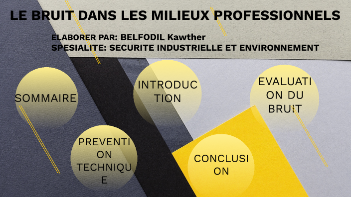 LE BRUIT DANS LES MILIEUX PROFESSIONNELS by kawther BELFODIL LE BRUIT DANS LES MILIEUX PROFESSIONNELS by kawther BELFODIL