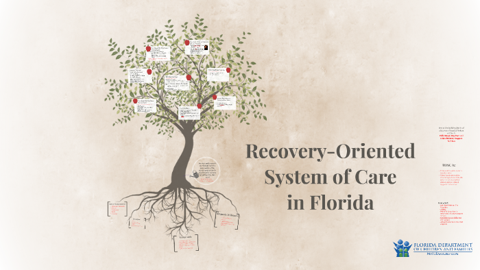Recovery Oriented System of Care in Florida by Dana Foglesong on Prezi
