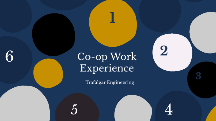 Co-op Work Experience by Joshua Fernandes on Prezi