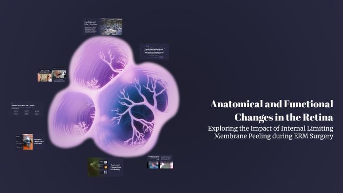 Anatomical and Functional Changes in the Retina by mehran(mehdi ...