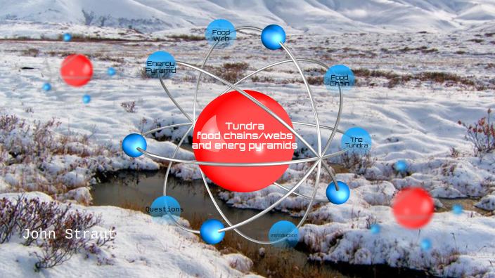 Tundra food chains/webs and energ pyramids by John Straut on Prezi