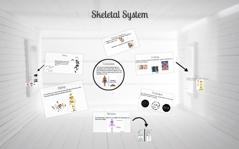 Skeletal System by skeletal system on Prezi
