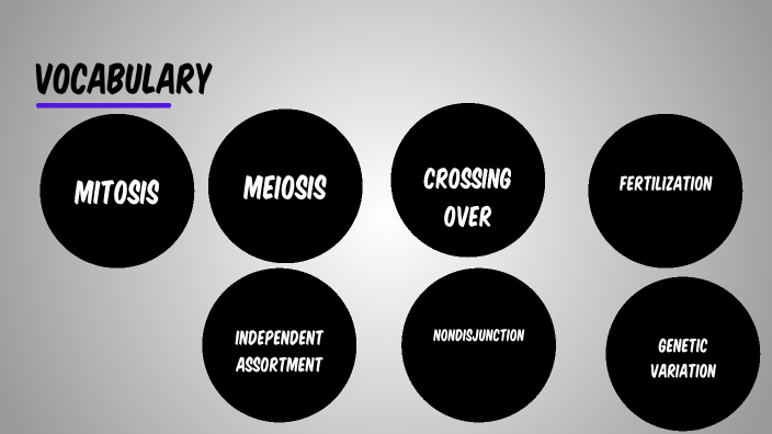 Module Eight Lesson One Pathway Three Activity by Dhriti Chawla on Prezi