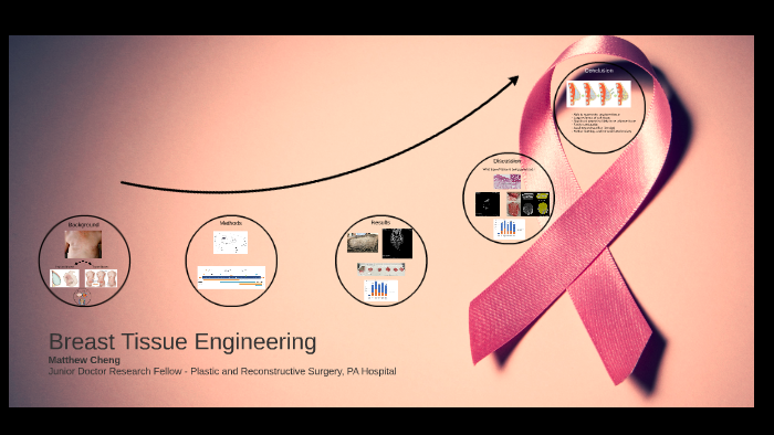Lab Meeting - Breast Tissue Engineering by Matthew Cheng on Prezi