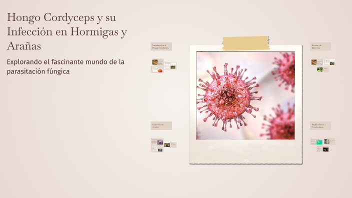 Hongo Cordyceps y su Infección en Hormigas y Arañas by Sebastian ...