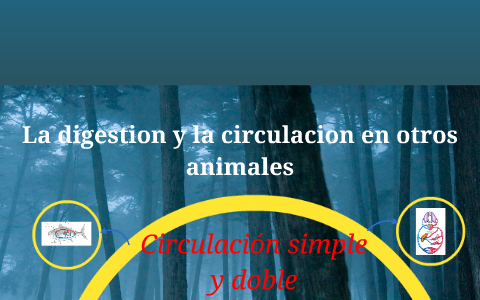 Digestión Intracelular by Grupo 4 on Prezi