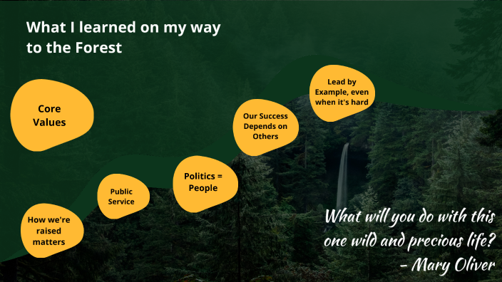What I learned on the way to the Forest by Meta Loftsgaarden on Prezi