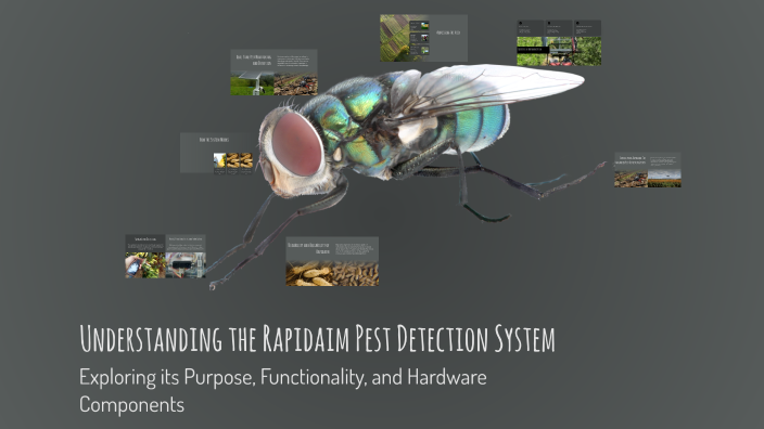 Understanding the Rapidaim Pest Detection System by mason jennings on Prezi
