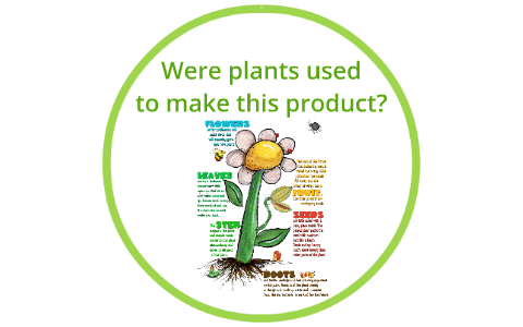 Plants - Natural Resources and Human resources by Heather Rederth on Prezi