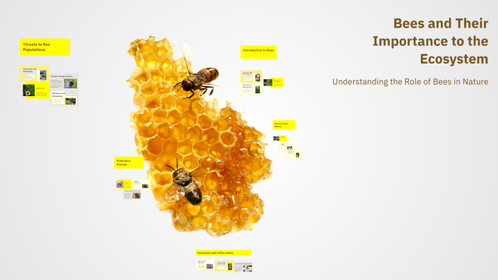Bees and Their Importance to the Ecosystem by Olivia. Greubel on Prezi