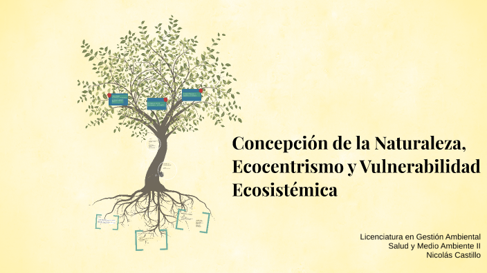 SALUD Y MEDIO AMBIENTE II - CONCEPCION DE LA NATURALEZA, ECOCENTRISMO Y ...