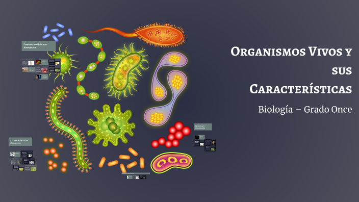 Organismos Vivos y sus Características by Ismael Caro on Prezi