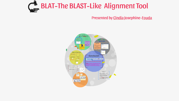 BLAT-The BLAST-Like Alignment Tool by Cindia L.O.L on Prezi