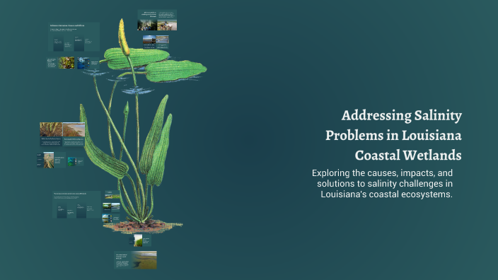 Addressing Salinity Problems in Louisiana Coastal Wetlands by Susan ...