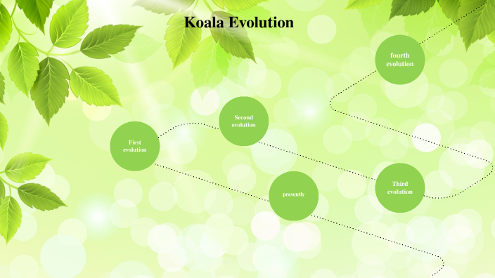 koala evolution by Natalia Bezakova on Prezi