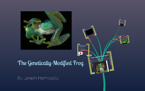 The Genetically-Modified Frog by Janeth Hermosillo on Prezi