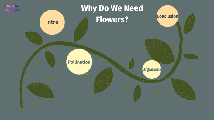 Why Do We Need Flowers? by Ileaniz R. on Prezi