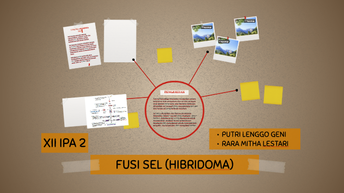 FUSI SEL (HIBRIDOMA) by Putri Lenggo on Prezi