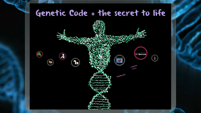Epigenetics by Emily Nettesheim on Prezi