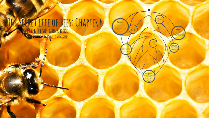 The Secret life of bees: Chapter 6 by isabelle ostonal on Prezi
