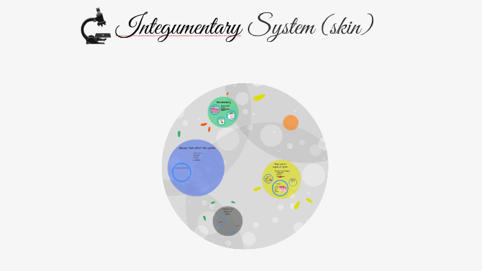 Vocabulary by joi serphy on Prezi