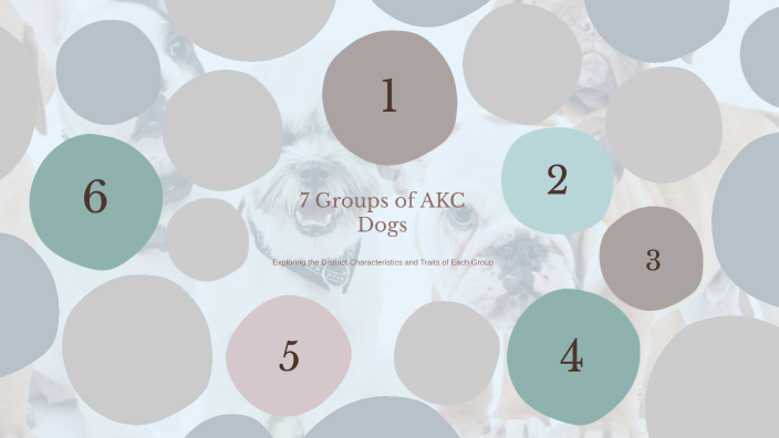 7 Groups of AKC Dogs by Ehlana Holbrook on Prezi