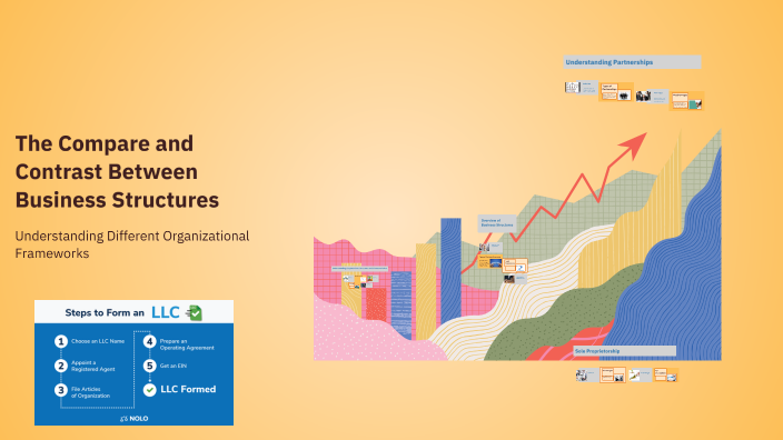 The Compare and Contrast Between Business Structures by michael adeyeye ...
