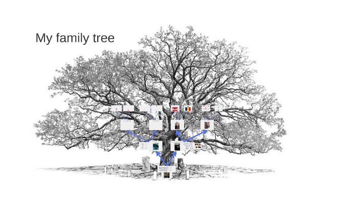 My family tree by Marlee Hamann on Prezi
