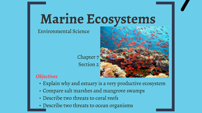 Marine Ecosystems Chapter 7 section 2 by Mr. Emhardt on Prezi