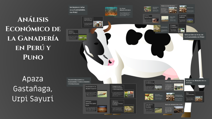 Infografía: Análisis Económico de la Ganadería en Perú y Puno by Sayuri ...
