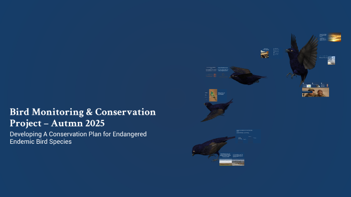 Bird Monitoring & Conservation Project – Fall Season 2025 by Emad ...