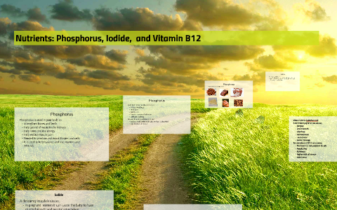 Nutrients: Phosphorus, Iodide, and Vitamin B12 by Jake Roe on Prezi