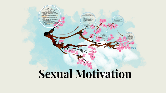 Chapter 8 Sexual Motivation By Scott Phillips On Prezi